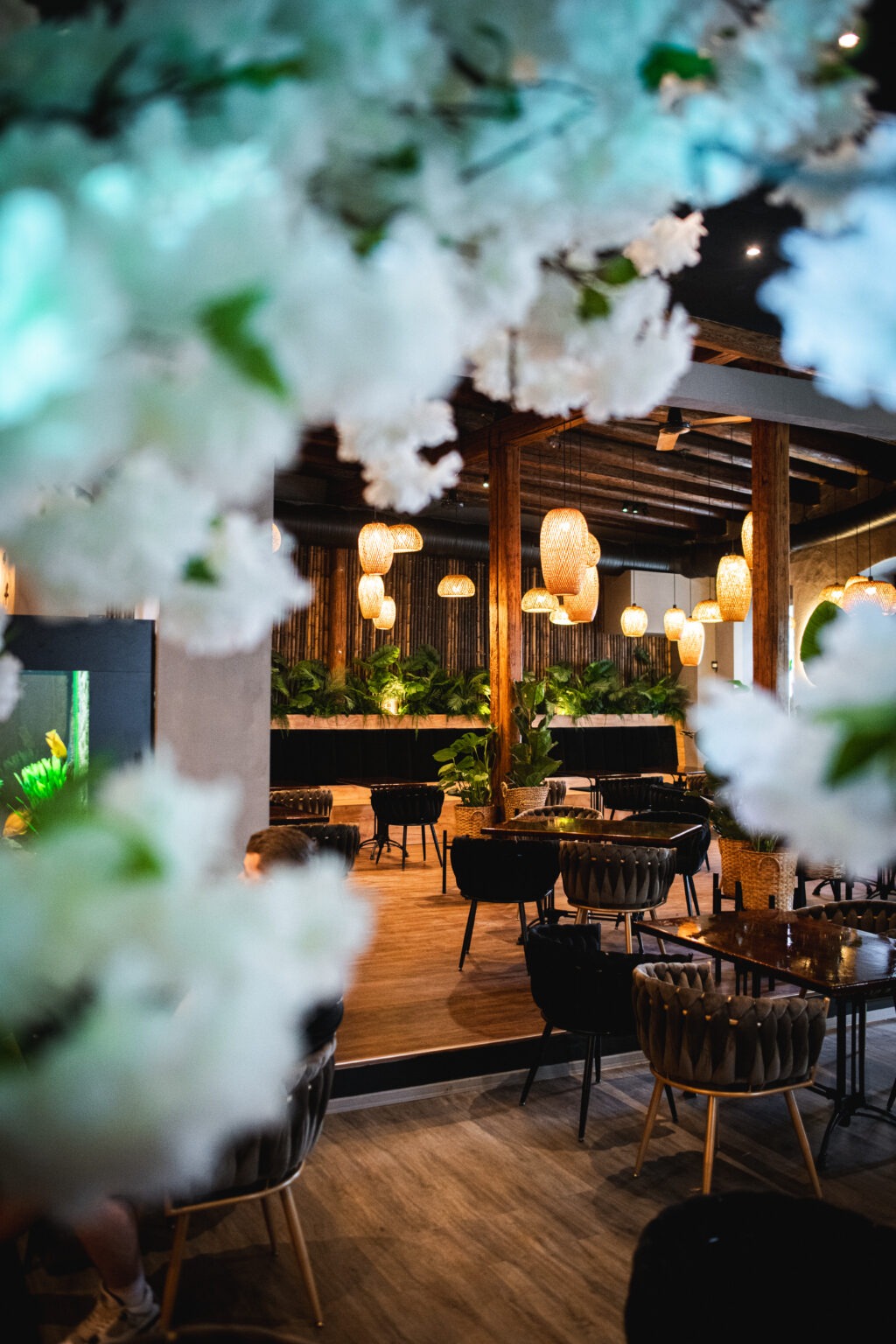 PLAUDIT – Puor Plaudit Restaurant & Pizzeria